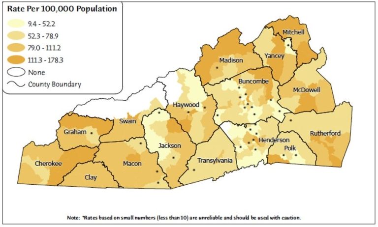 WNC Healthy Impact | Hospital & Public Health Agency Partnership ...