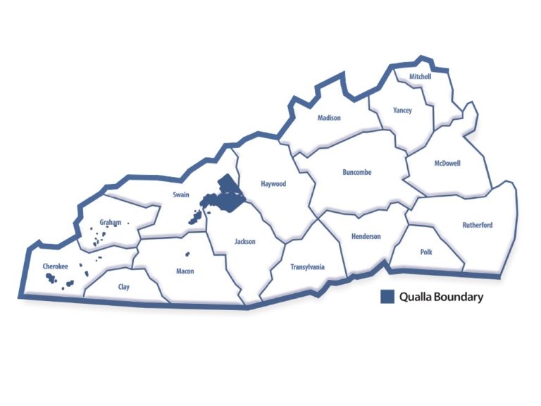 WNC Healthy Impact | Hospital & Public Health Agency Partnership ...