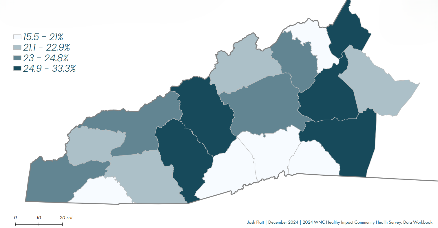 WNC Healthy Impact | Hospital & Public Health Agency Partnership ...